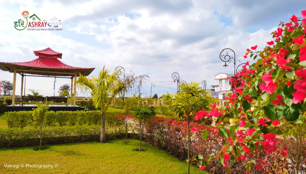 Hariashray Nagar | Best Residential Plots in Haridwar